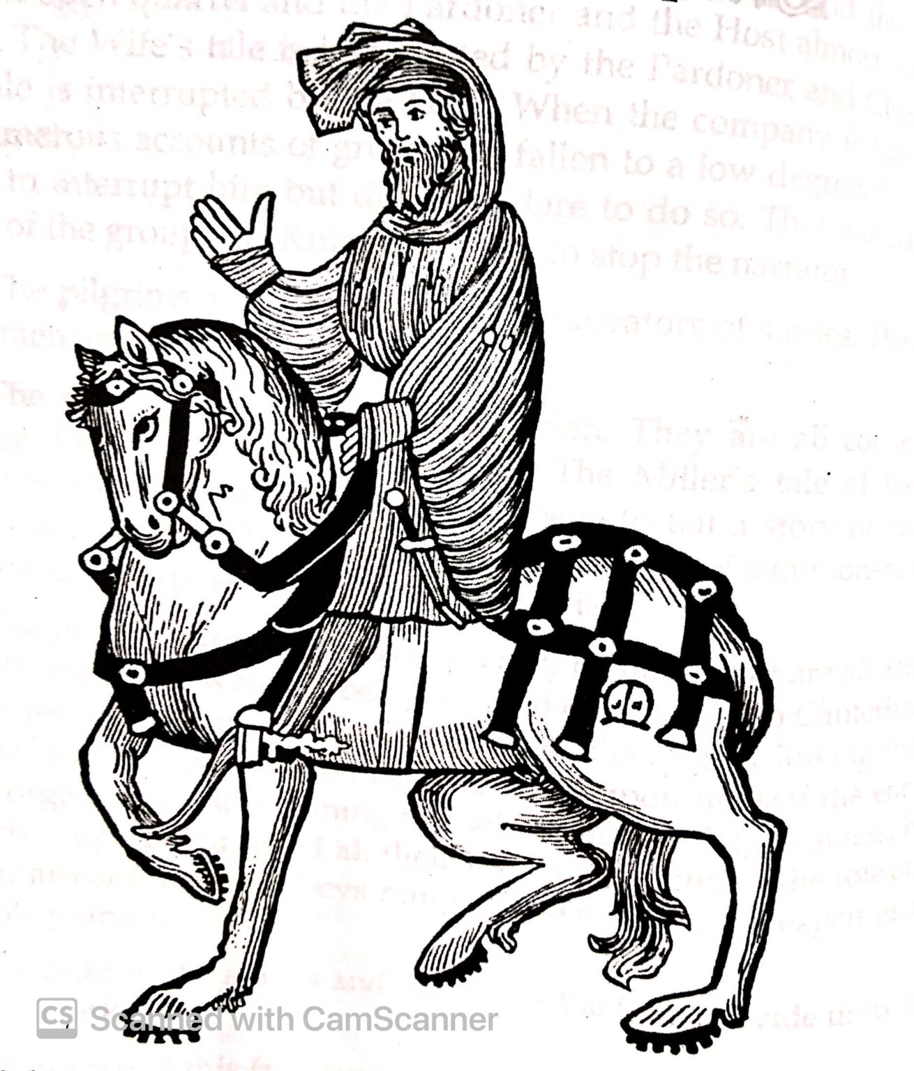 Character of The Knight - ewriter29